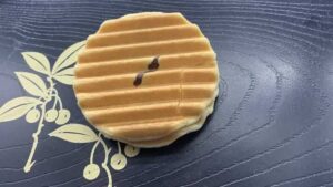 Japanese Sweets (Wagashi) at Japanese Tea Ceremony (Urasenke): Higashi ...